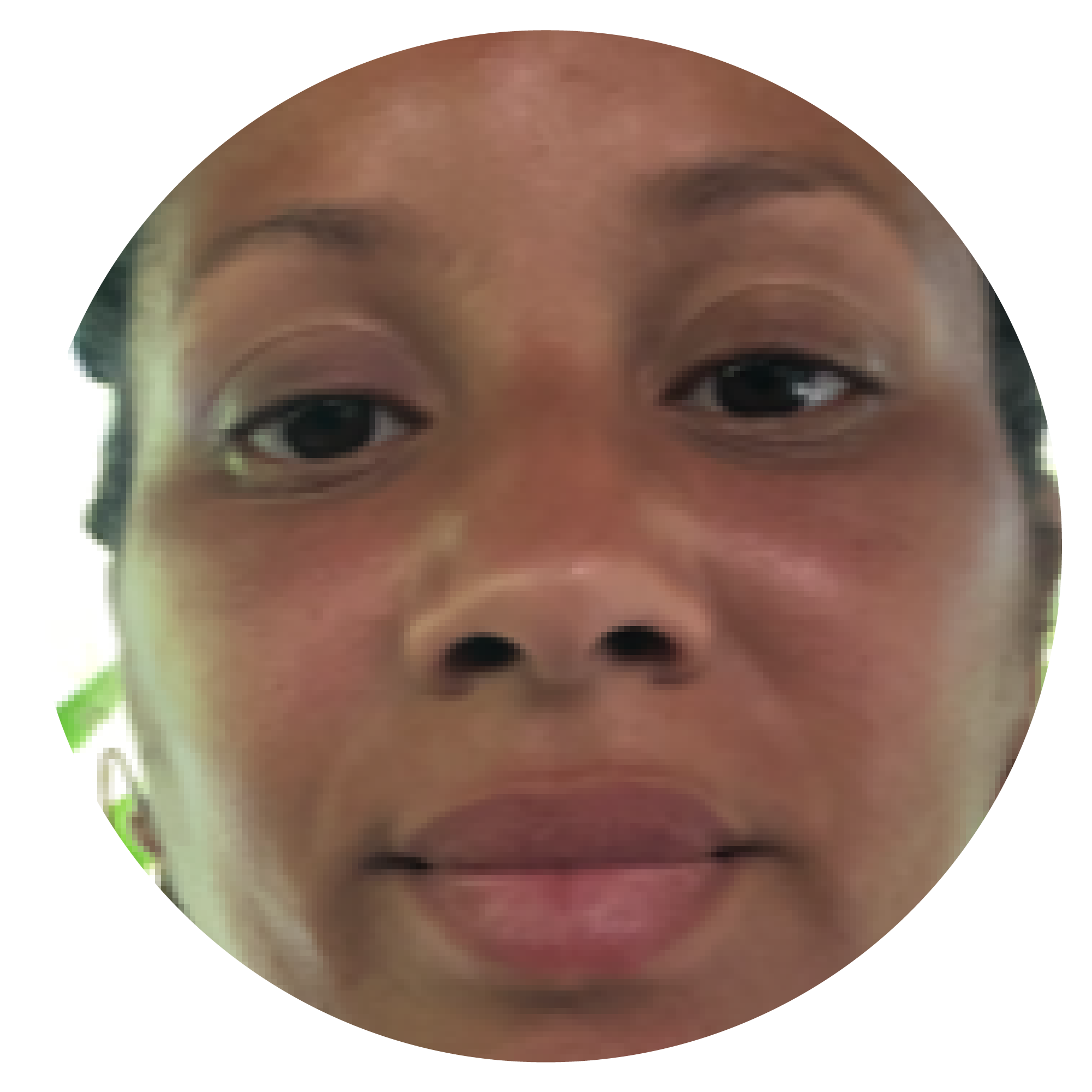Bios – Black Slave Revolts